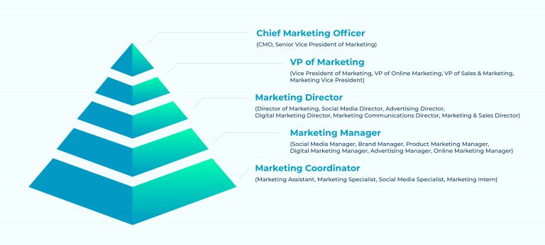 How the Build the Marketing Team Structure for Success | Brandetize
